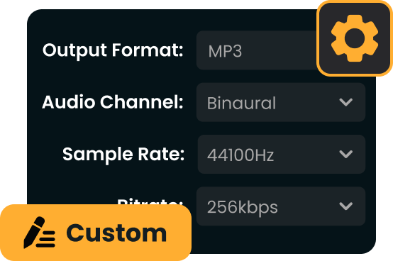 [Offiziell] Amazon Music Converter kostenlos Download - ViWizard