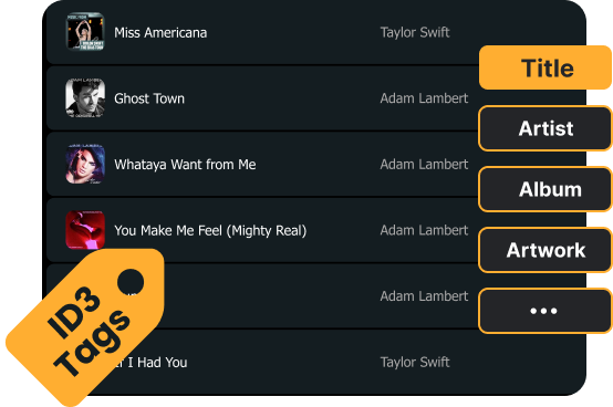[Offiziell] Amazon Music Converter kostenlos Download - ViWizard