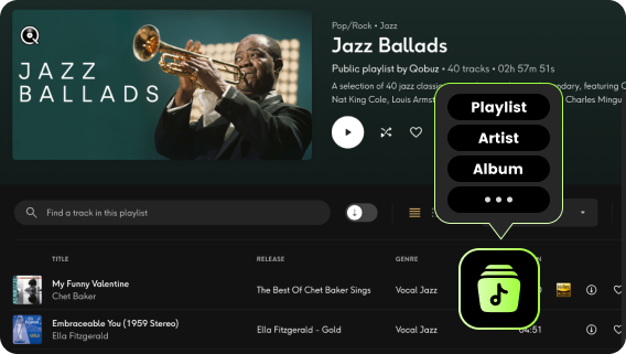 [OFFICIAL] ViWizard Qobuz Music Downloader - Convert Qobuz Music to MP3 ...