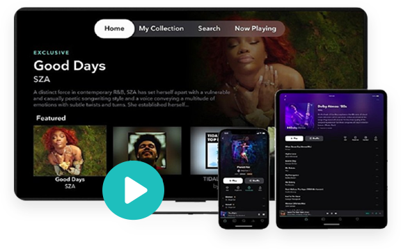 [OFFICIAL] ViWizard Tidal Music Converter - Download Tidal Music to MP3 without Premium